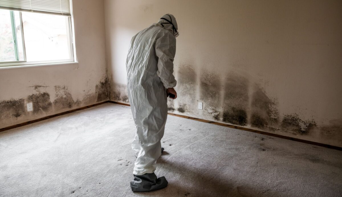 10 Warning Signs You Have a Mold Problem in Your Home (& What To Do ...
